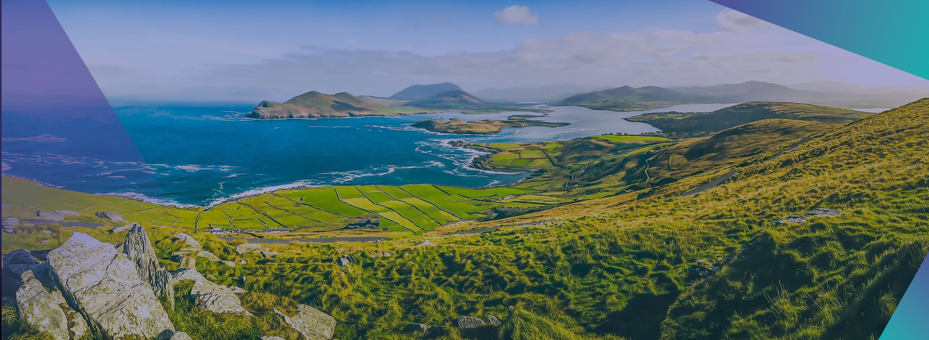 Irish at Heart - Logistics Services Case Study