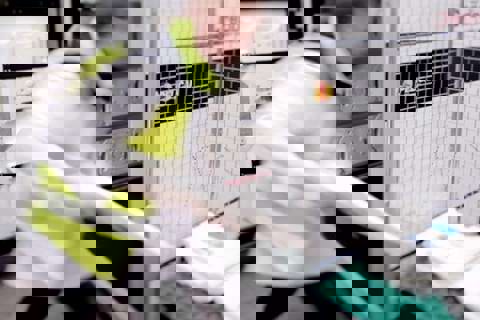 Peli BioThermal Case Study | SEKO Logistics