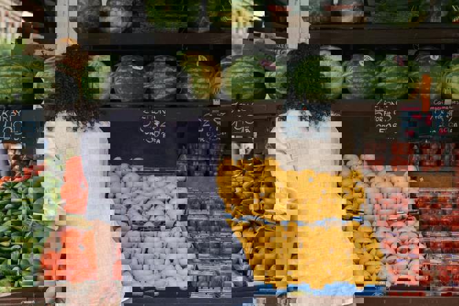 Challenges and Solutions for Perishable Goods Logistics